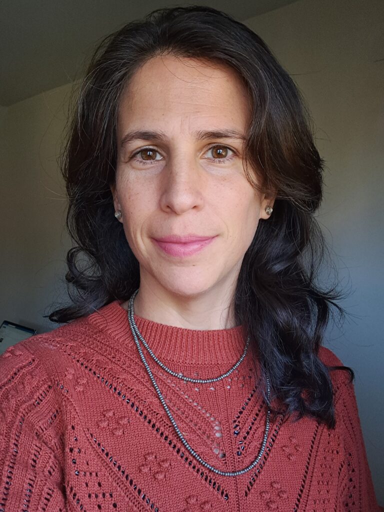 Chile - INSA Network